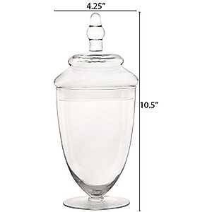 Mantello Apothecary Jars with Lids- Decorative Glass Candy Bar Containers (Clear, Small, Set of 3)