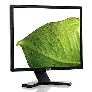 Dell E190S 19" Inch Flat Panel Screen LCD Monitor