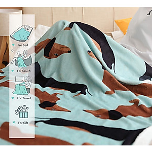Famitile Dachshund Blanket, Wiener Dogs Throw Blanket, I Love Dachshunds Soft Flannel Dachshund Stuffed Animal Blankets Dachshund Gifts for Women (Dachshund 1, 47" x 60")