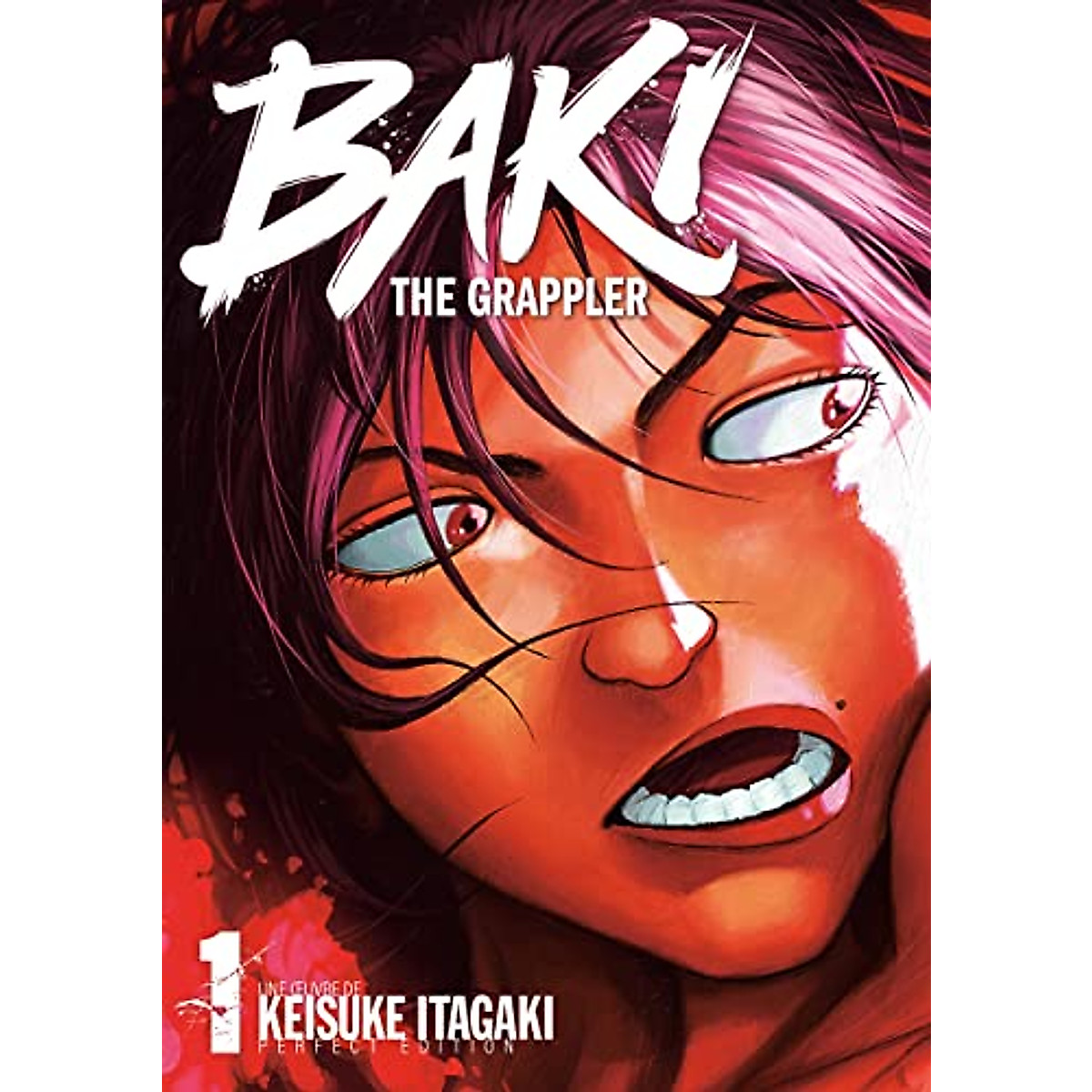 Baki the Grappler - Tome 1 - Perfect Edition