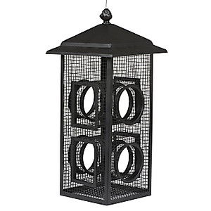 Perky-Pet B00303 Fly-Through Wild Bird Feeder