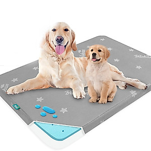 Waterproof Dog Beds for Large Dogs 38" x 26", Washable Large Dog Bed Pad or Outdoor Pet Bed, Memory Foam Dog Beds & Furniture, Grey Large Dog Mat for Sleeping