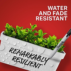 Sharpie Retractable Permanent Markers, Fine Point, Black, 12 Count