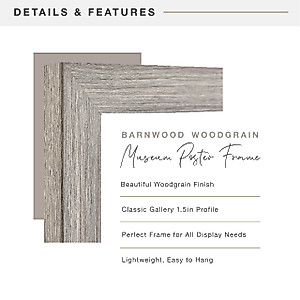 MCS Museum Poster Frame, Barnwood, 16 x 20 in, Single