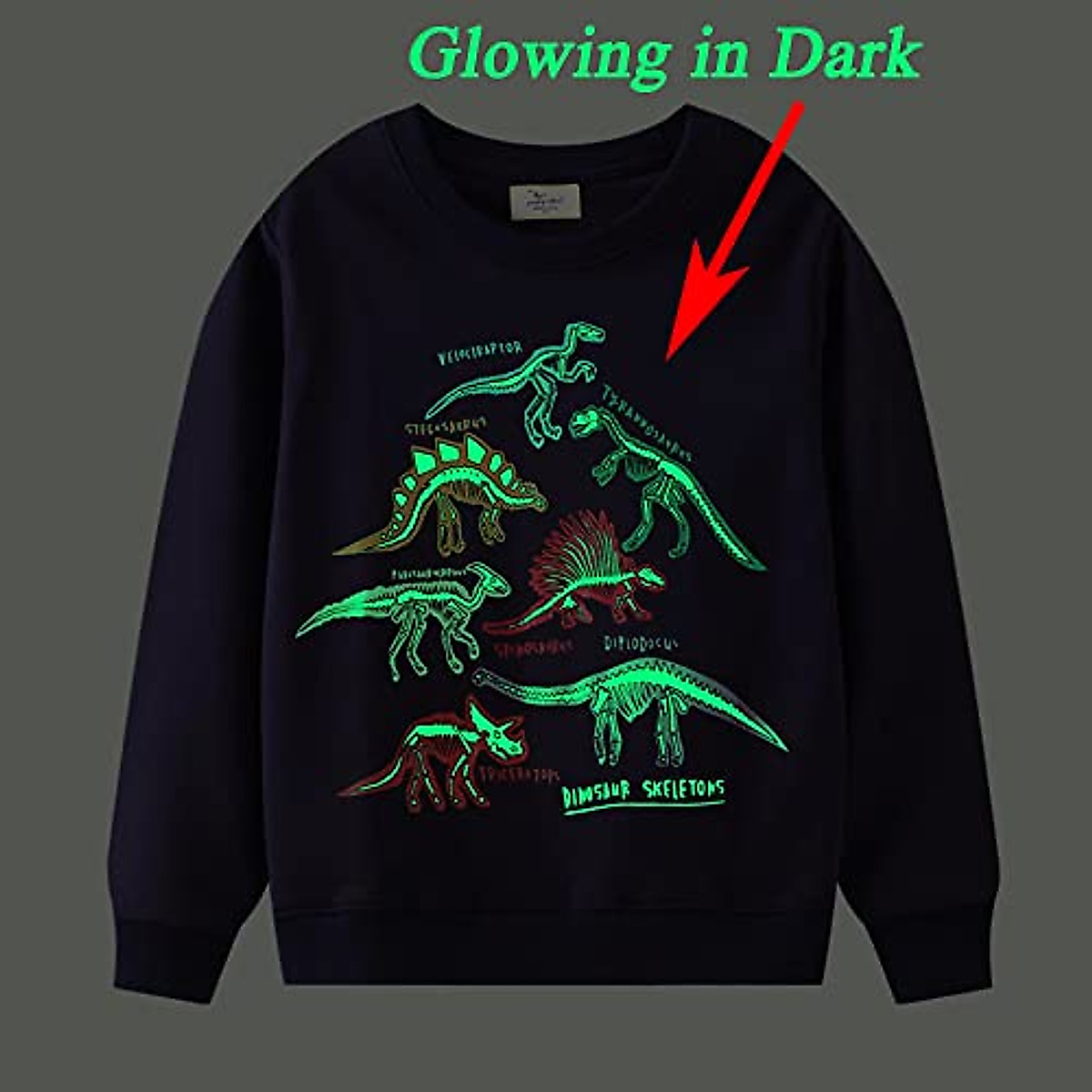 Toddler Boy Dinosaur Halloween Sweatshirts Dino Skeleton Glowing Shirts Long Sleeve T-Rex Bones Graphic Pullover Tops for Kids 3t/8154