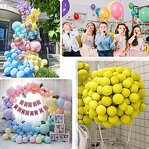 Macaron Yellow Balloons Pastel Yellow Balloons Light Yellow Matte Latex Helium Party Balloon 100pcs 18/12/10/5 Inch Birthday Wedding Engagement Baby Shower Decoration