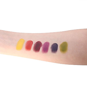 Wismee Professional 6 Color Bruise Wheel for Special Effects Makeup Face Body Paint Oil with Sponges Hunting Camo Face Paint Set for Concealment Camouflage Portable Costume Makeup Kit