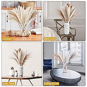 Natural Dried Pampas Grass Decor: 80 Pcs 17" Small Fluffy White Pampas Stems & Beige Reed Grass & Dry Wheat Bundle & Bunny Tail Grass Pampas Bouquet