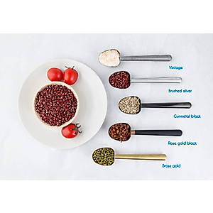 Easyworkz Stainless Steel Long Hollow Handle Coffee Scoop,7g Measuring Spoon for Ground Coffee and Loose Leaf Tea, Brushed Silver