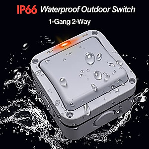 Taiss Outdoor Switch IP66 Waterproof Switch with Red LED Indicator,1-Gang 2-Way SPDT Light Switch,10A 220V-250V Outdoor Garden Electrical Switch