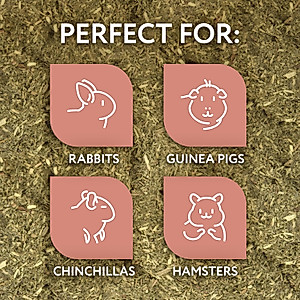 Evergreen Pet Supplies [4 Pack] Furry Friends Timothy Hay Chewing Bowl for Small Pets & Bunnies - Edible Bowls for Guinea Pig Treats - Ferret & Rabbit Toys - Guinea Pig Food Bowl - Bunny Toys