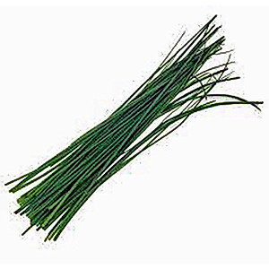 Chive Seeds, Herb, Heirloom, Non GMO, 25+ Seeds, Great Fresh or Dried Herb