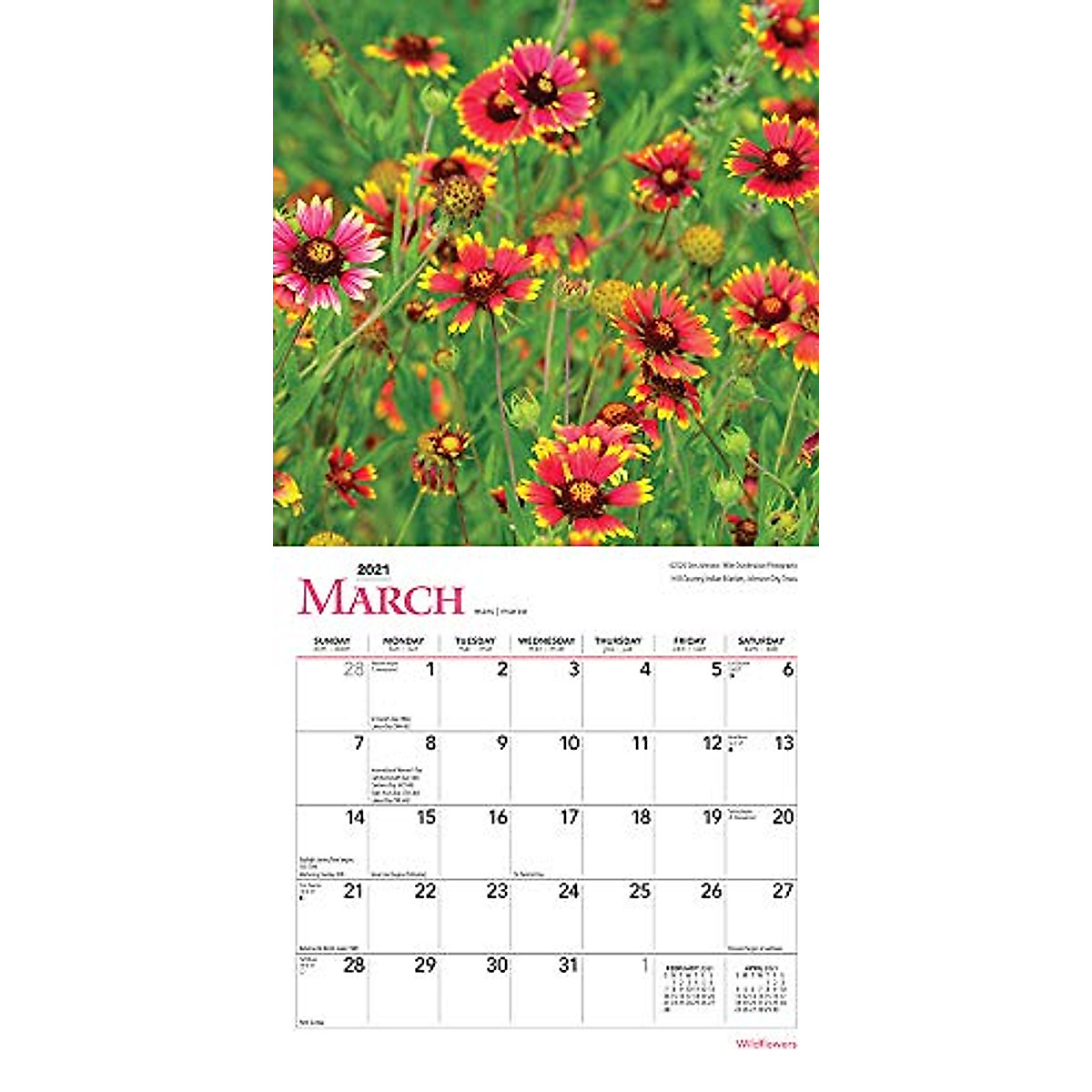Wildflowers 2021 Calendar