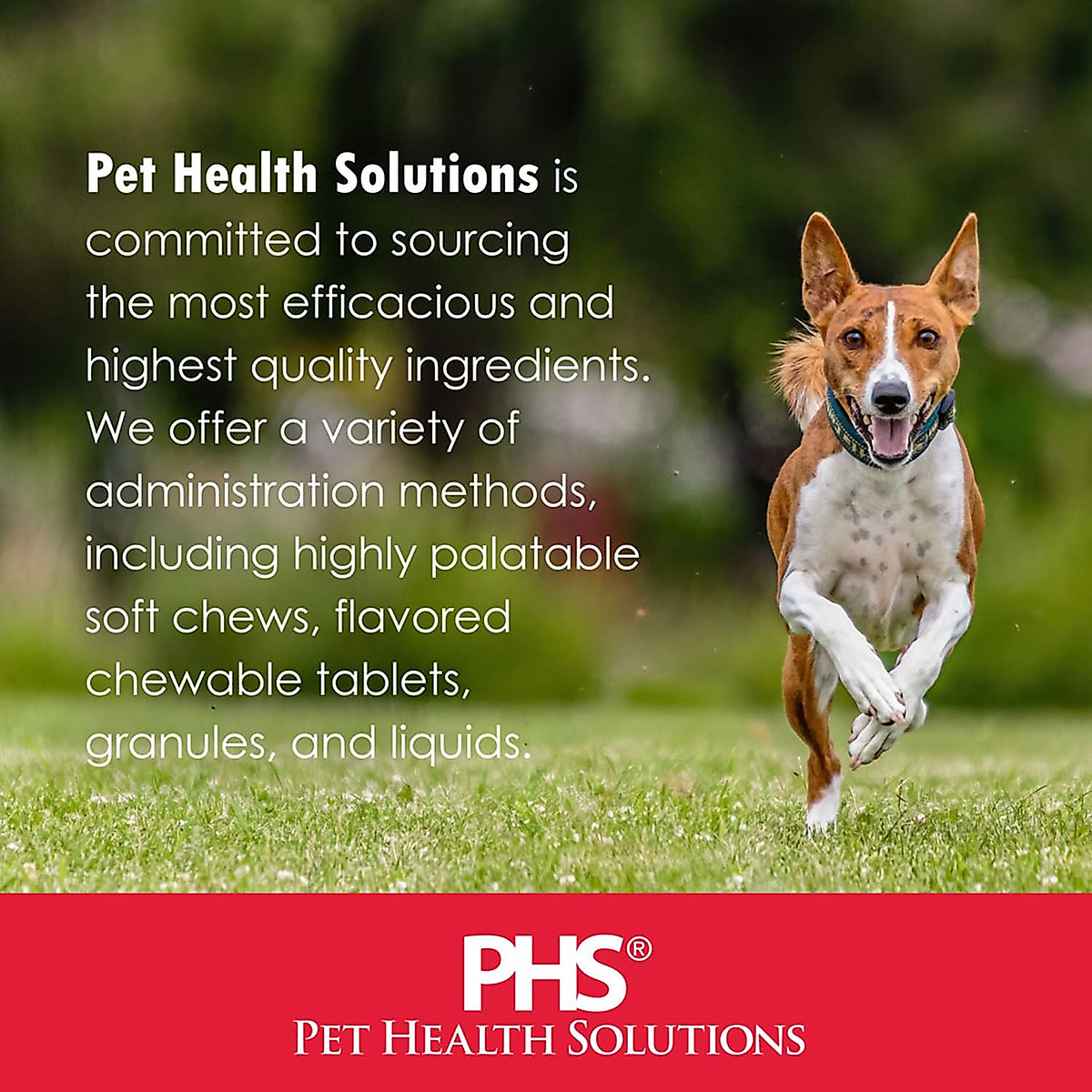 PHS Joint MAX Triple Strength (TS) Soft Chews for Dogs - Glucosamine, Chondroitin, MSM - Vitamins, Minerals, Antioxidants- Hip and Joint Support for Dogs - Made in USA - 2-Pack - 480 Soft Chews