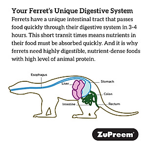 ZuPreem Premium Daily Grain Free Ferret Diet Food, 4 lb (3-Pack) - Nutrient Dense, Highly Digestible, High Protein Levels