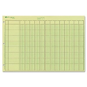 NATIONAL Analysis Pad, 13 Columns, Green Paper, 11 x 16.375", 50 Sheets (45613)