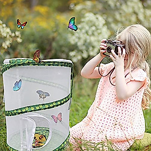 ZFC US Butterfly Habitats Mesh Grasshopper Silkworm Firefly Butterfly and Insect Habitat Cage Butterfly Kit 12 X 14 Inches Pop-up Including 6 Artificial Butterfly Unrestricted Clear Vision