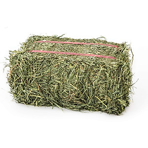 Grandpa's Best Orchard Grass Bale, 40 oz