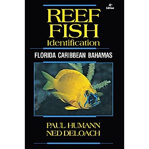 Reef Fish Identification - Florida Caribbean Bahamas - 4th Edition (Reef Set)