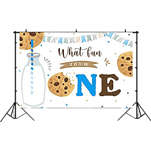 Lofaris What Fun It is to Be One 1st Birthday Party Backdrop Cookies and Milk Colorful Theme Happy Birthday Background Boys First Birthday Party Decorations Cake Table Photo Booth Props Banner 5x3ft