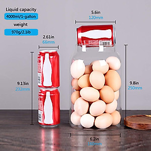 SAIOOL Egg Jar,kitchen canister， 1 Gallon Large Glass Food Storage Jars with Airtight Lid, Clear