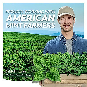 Colgate Max Fresh with Whitening Toothpaste with Mini Breath Strips, Cool Mint Toothpaste for Bad Breath, 6.3 Oz Tube. 3 Pack