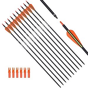 Carbon Arrow Hunting Arrows with 100 Grain Tip and Removable Tips for Archery Compound & Recurve & Traditional Bow Practice Shooting Targeting