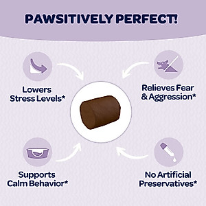 Ready Pet Go! Calming & Multivitamin Chews for Dogs | Vitamins for Skin, Coat, Hip & Joint Health | Helps with Dog Anxiety, Separation & Barking | 90 Chews Each