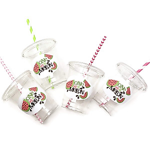 One in a Melon Cups - Watermelon 1st First Birthday Party Supplies and Favors