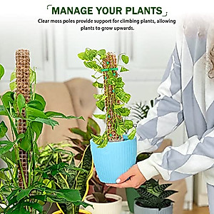 Gardzizy Plastic Moss Pole 6 Pcs 24 Inch Moss Poles for Plants Monstera Climbing Plants, Plant Support for Indoor Plants Work with Sphagnum Moss (6 Pack)