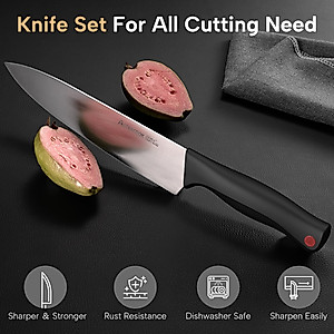 Astercook Knife Set with Built-in Sharpener Block, Dishwasher Safe Kitchen Knife Set with Block, 14 Pcs High Carbon Stainless Steel Block Knife Set with Self Sharpening and 6 Steak Knives, Black