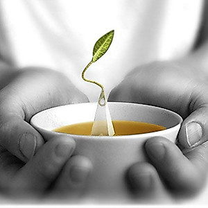 Tea Forte Chamomile Citron Herbal Tea Event Box, Bulk Pack of 48 Pyramid Infuser Tea Sachets for All Occasions