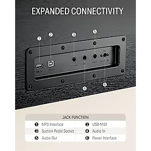 Donner DDP-100 88-Key Weighted Action Digital Piano for Beginner Bundle with Piano Keyboard Stand, Power Adapter, Triple Pedals, MP3 Function, USB-MIDI, 2 Headphone Jacks Black