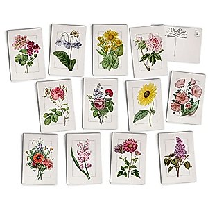 Vintage Floral Postcards - 24 Antique Flower Postcards - 12 Assorted Botanical Retro Book Illustration Cards Printed on Antique Textured Style Cardstock - Great for Spring, Summer, Gardening, & Nature