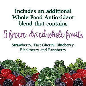 Garden of Life Perfect Food Berry Super Green Fruit & Veggie Formula - 30 Servings, 49 Superfoods Greens, Sprouts, Fruits, Veggies, Probiotics, Spirulina, Vegetarian Juice Superfood Powder Supplement