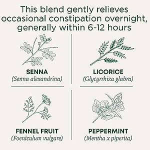 Traditional Medicinals Organic Smooth Move Peppermint Laxative Tea, 16 Count (Pack of 6)