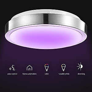 Globe Electric 60839 Wi-Fi Smart 11" Flush Mount Ceiling Light, Brushed Nickel, No Hub Required, Voice Activated, Energy Star, 16 W, Multicolor Changing RGB, White 2000K - 5000K, 1120 Lumens, 80 CRI