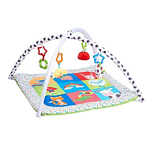 Early Learning Centre Blossom Farm Playmat & Arch, Physical Development, Hand Eye Coordination, Stimulates Senses