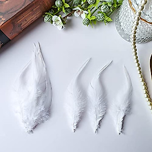 THARAHT 100pcs White Saddle Hackle Rooster Feather Loose Bulk 5-7 inch 12-17cm for DIY Dream Catcher Decoration Natural Saddle Hackle Rooster Feather