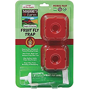 2pk Fruit Fly Trap