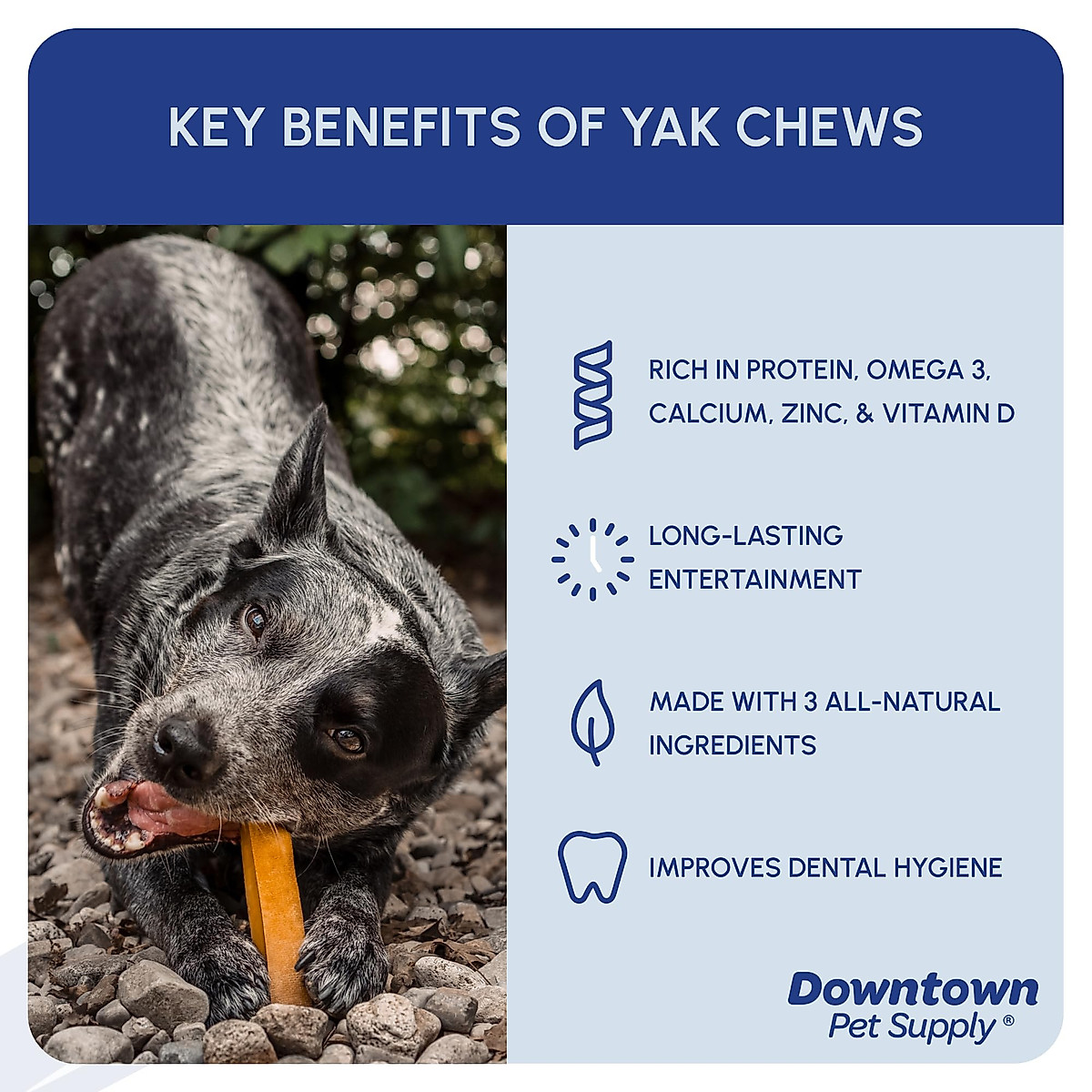 Downtown Pet Supply Yak Cheese Himalayan Dog Chews - Large Yak Chews Rich in Nutrients for Medium to Large Dogs - Long Lasting, Odorless and Easy to Digest Cheese Dog Treats - 2 LB