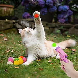 C-PASSION Cat Ball Toy Launcher Gun,Cat Balls Fetch Toy,50Pcs Plush Fuzzy Balls Launcher Cat Toy for Cats,Cute Kitten Kitty Toys,Funny Interactive Cat Toys for Bored Indoor Adult Cats