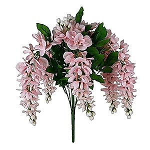 Ashland Michaels Pink Wisteria Bush