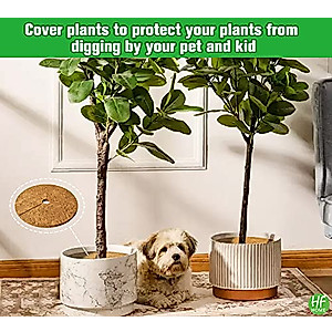 HFHOME 8pcs 17.5" Dia Coconut Fibers Tree Mulch Ring Protector Mat, 17.5 Inch Natural Coco Coir Tree Protection Mats, Tree Disc Plant Cover for Indoor Outdoor Lawn, Potted Plants