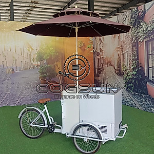 Ice Cream Cart Bicycle with Commercial Refrigerator Ice Cream Cart With Three Wheels for Business Food Vending Cart for Sale with Trailer Awning