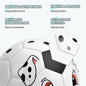 EVERICH TOY Soccer Ball Size 2 Soccer Balls for Kids-Sport Ball for Toddlers-Backyard Lawn Sand Outdoor Toys for Boys and Girls,Including Pump
