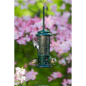 Squirrel Buster Standard Squirrel-proof Bird Feeder w/4 Metal Perches, 1.3-pound Seed Capacity, garden green