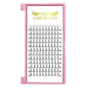 Premade Fans Eyelash Extensions 5D 3D 7D 8D 10D Short Stem Premade Volume Eyelash Extensions 3D 5D 7D Volume Lash Extensions .07 .10 Pre made Lash Fans C D Curl 9-15 MIX(5D-D-0.10,9-15mm)