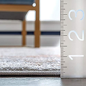 nuLOOM Jacquie Vintage Floral Area Rug, 4' x 6', Silver