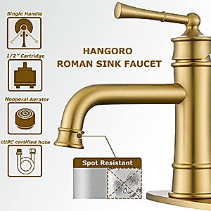 Hangoro Bathroom Faucet, Brush Gold Single Handle Faucets for Bathroom Sink, Solid Valve & Pop Up Drain, Touch On Bathroom Faucets for Vanity, Lavatory, Bathroom or Sink(L2301-BG)